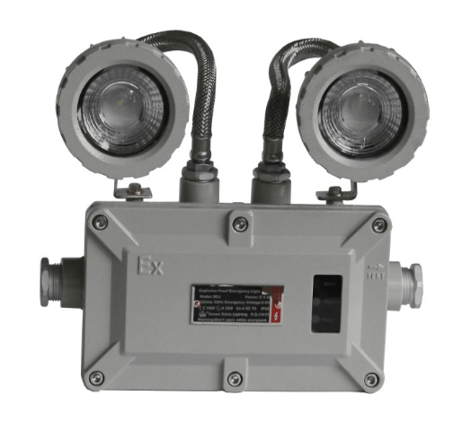 LUMENEX 2x3W Explosion Proof Emergency Light – DelightLighting